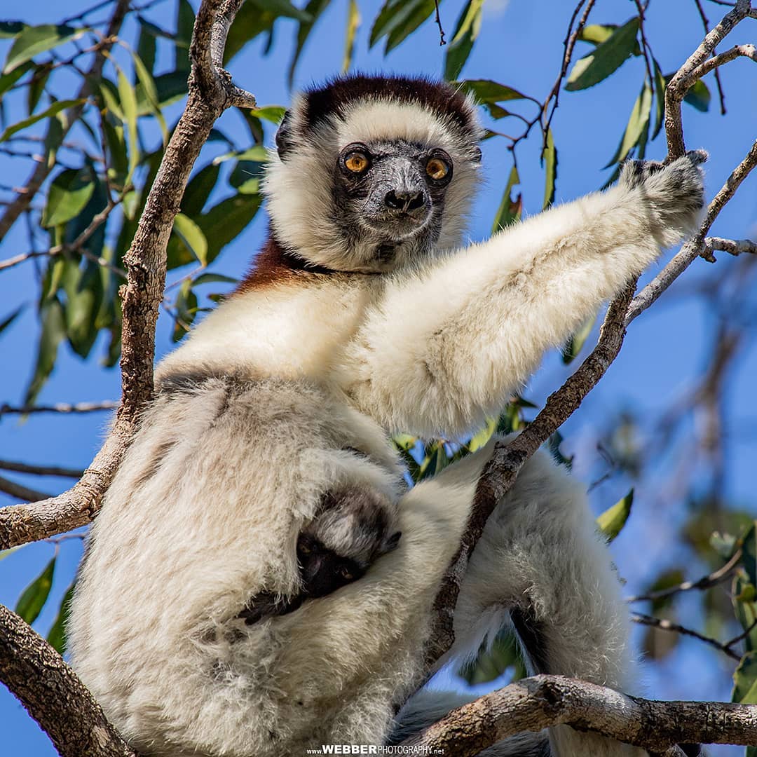 Bruce Webber - global change ecology | landscape & wildlife photography ...